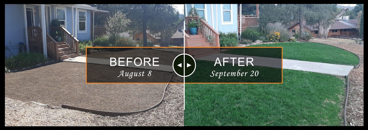 Home | North End Hydroseeding